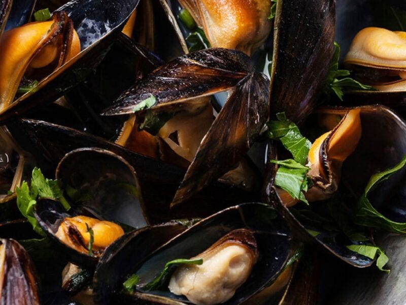 Can Dogs Eat Mussels?. Yes ! Mussels are a treat that dogs can… | by ...
