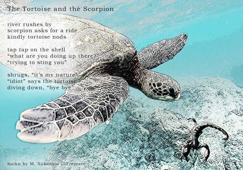 Haiku Poems About Turtles ILLUMINATE Film Festival | When One Man's