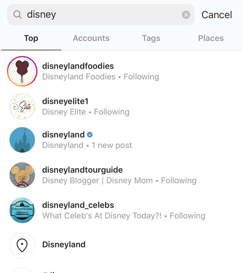 5 Must Follow Disney Instagram Accounts! | by Zachary Paige | Medium