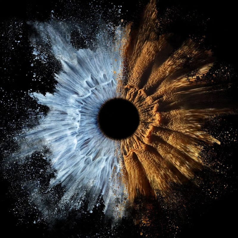Observer, Observed — Perception ⇄ Emergence | by Cole Williams | Apr ...