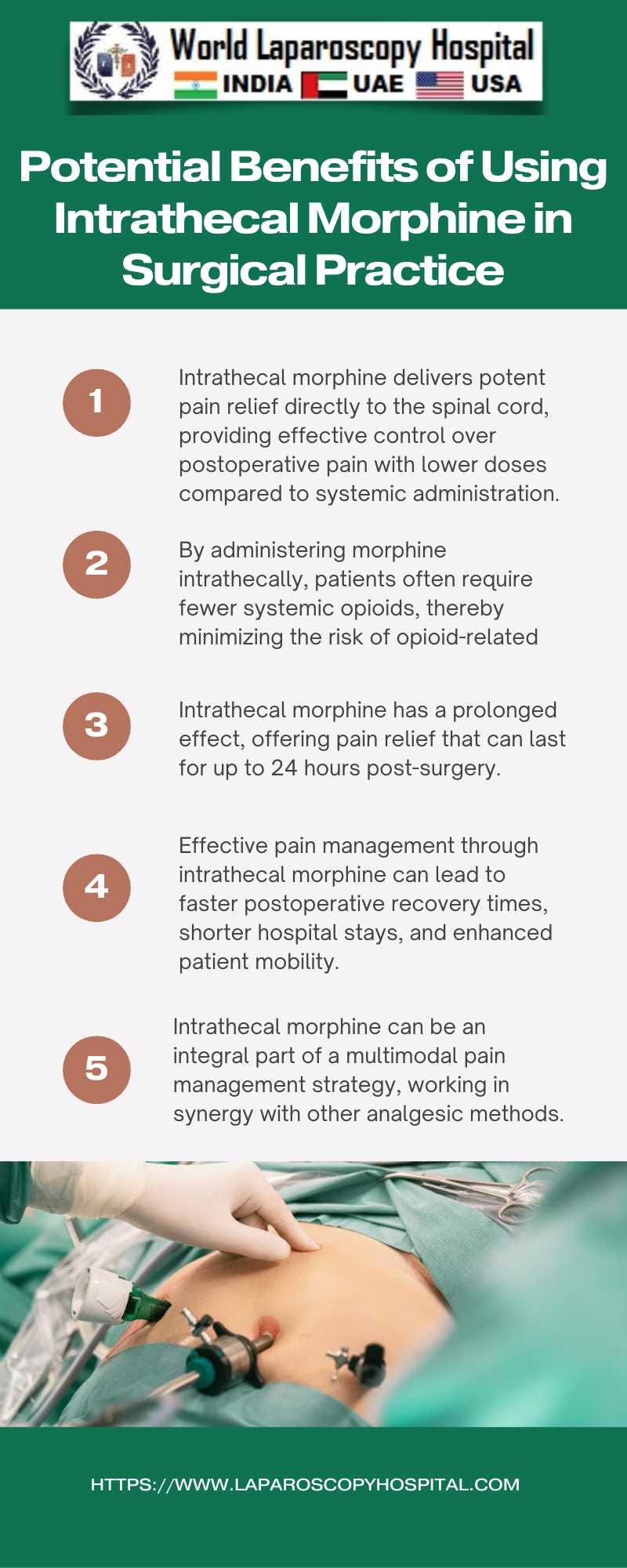 Potential Benefits of Using Intrathecal Morphine in Surgical Practice ...