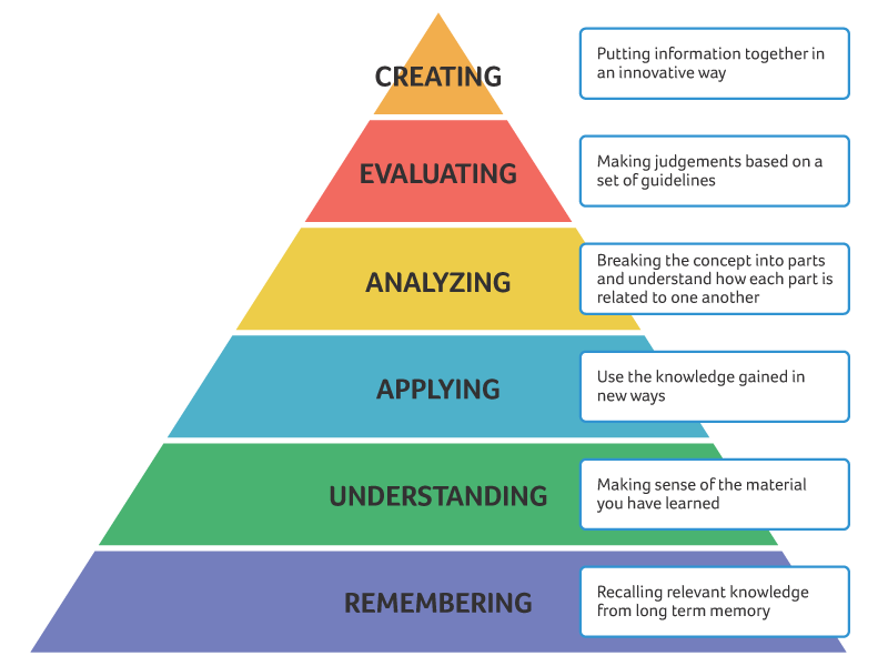 Mastering Self-Directed Learning. Unveiling Bloom’s Taxonomy Levels of ...