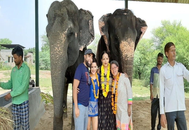 Discover the Magic of Elephant Village in Jaipur with Elefriend | by ...