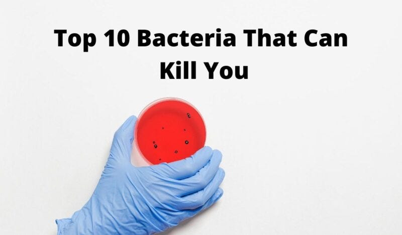Top 10 Bacteria That Can Kill You | by Yts ag | Medium
