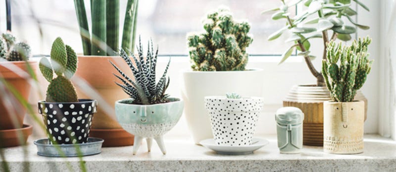 How to Transform Your Trending White Wall into a Decor Statement | by ...