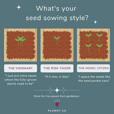 California Seed Sowing Chart Fresno Vegetable Planting Guide Calendar