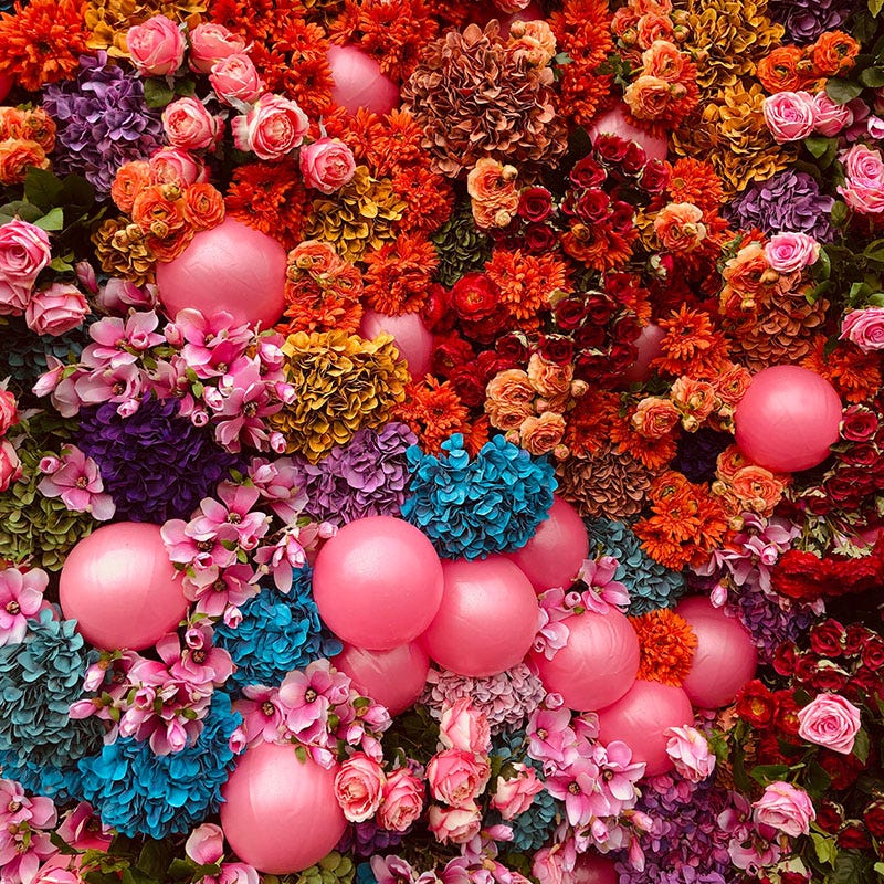 Abundance | by Christopher Lembke | Medium