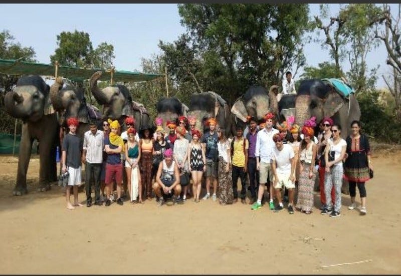 Elephant Activities in Jaipur: A Memorable and Responsible Experience ...