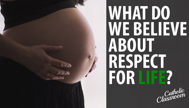 Catholic Classroom: Respect for Life | by CatholicTV | Medium