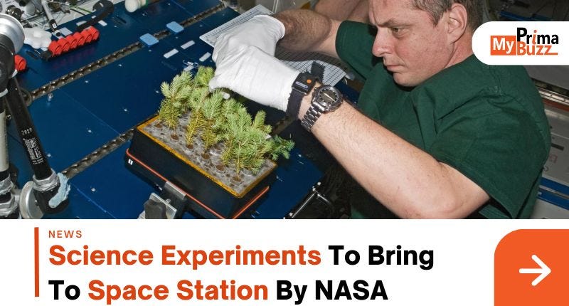 Science Experiments To Bring To Space Station By NASA | by MyPrimaBuzz ...