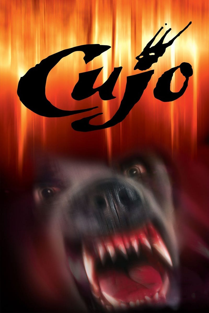 Cujo: An Unforgotten Classic in Stephen King’s Horror Arsenal | by ...