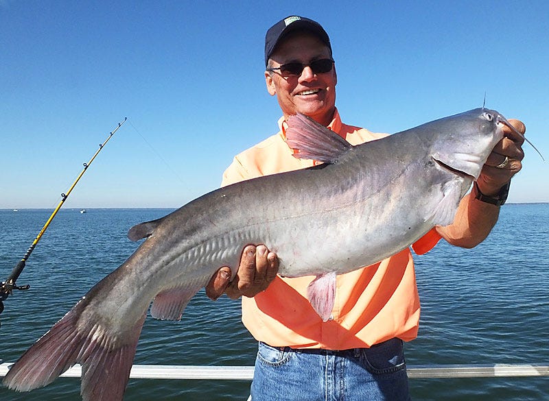 When You Want to Fishing in Texas,there Is Best Fishing Guide Galveston ...