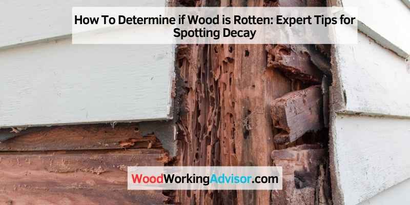 How To Determine if Wood is Rotten: Expert Tips for Spotting Decay | by ...