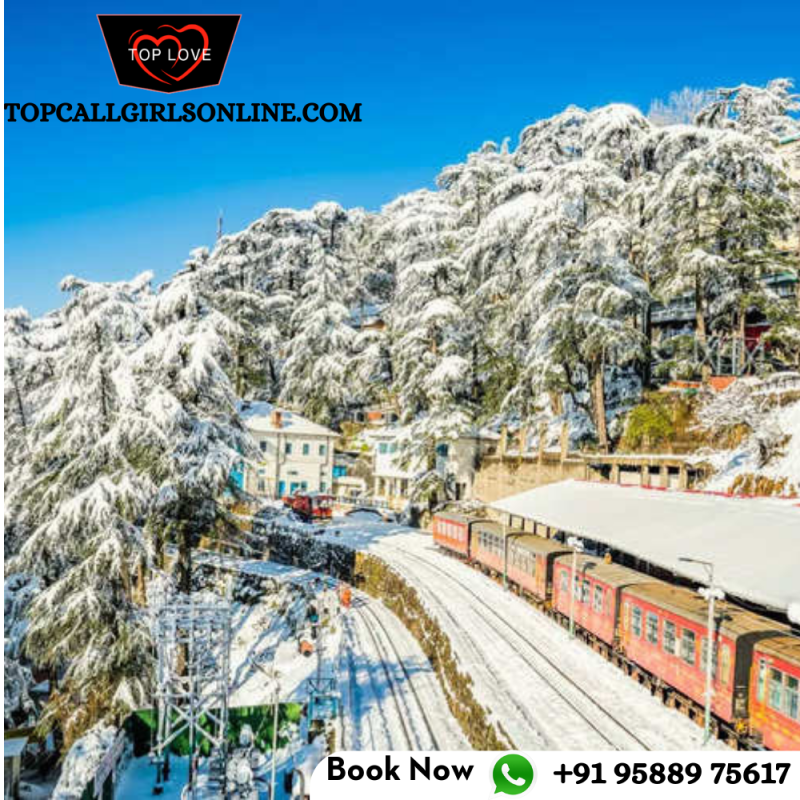 Shimla Sustainable Urban Transformation Draws International Recognition ...