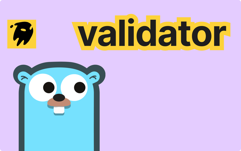 Validator: Complex Structs, Arrays, and Maps Validation For Go | by Leapcell | Medium
