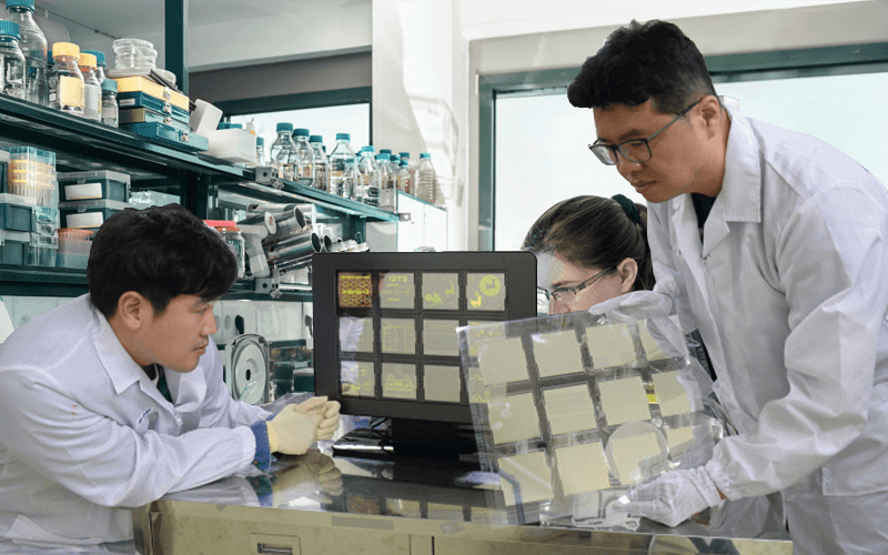 Korean Scientists Develop Super Thin OLED Displays Using Graphene ...