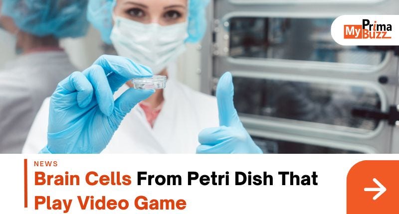 Brain Cells From Petri Dish That Play Video Game | by MyPrimaBuzz | Medium