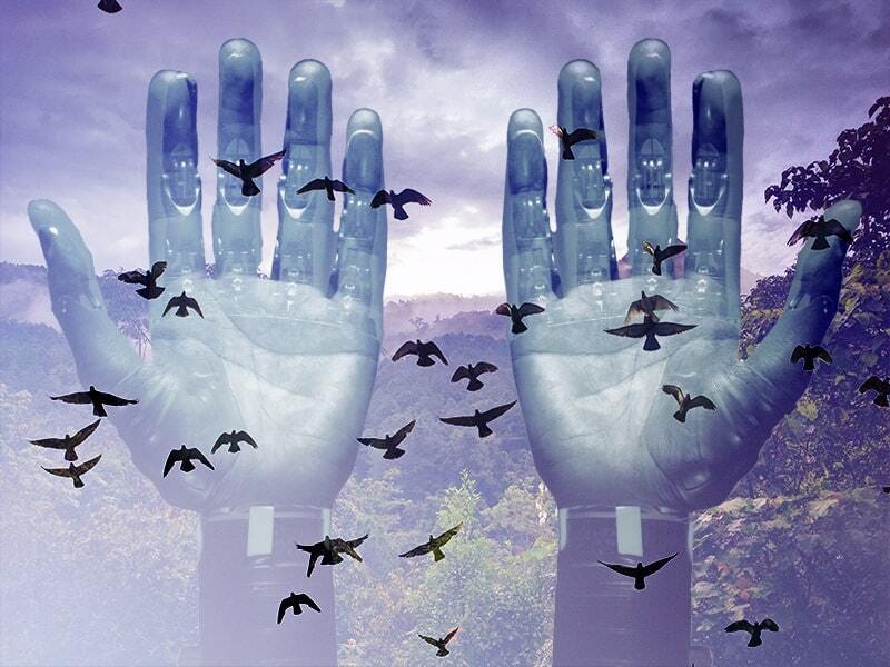 Technology’s Growing Role in Wildlife Conservation | by GroupGets | Sep ...