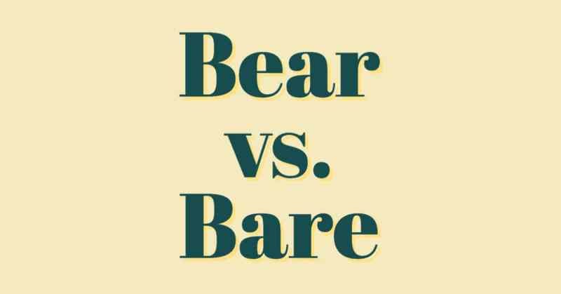 Bear With Me vs. Bare With Me: The Difference Explained | by Lillypad ...