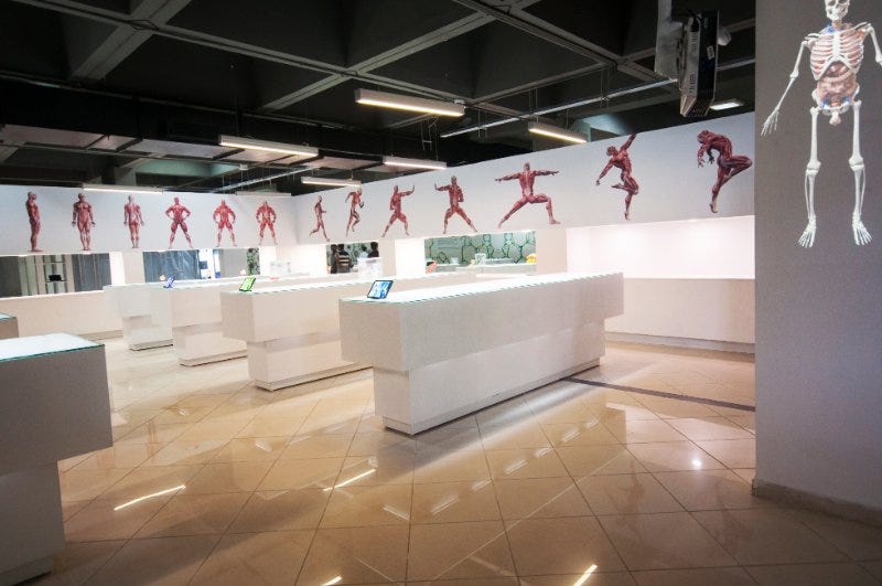 Reimagining the medical museum experience | by Spread | Medium