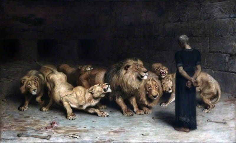 The Courageous Animal: 4 Types of Courage You Need | by Salomé Sibonex ...