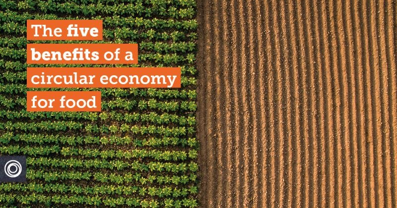 🧑‍🌾 Pressing global challenges such as climate, biodiversity, and human ...