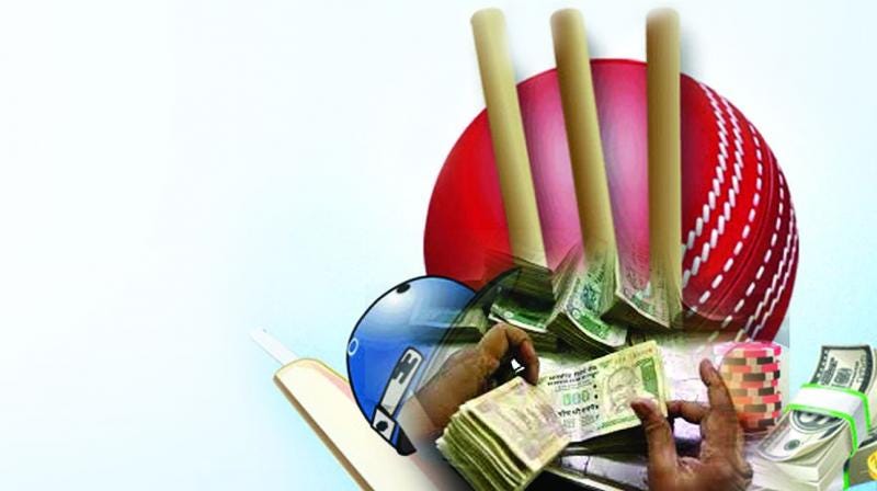 Test Your Cricket Knowledge: Challenge Yourself in the Exchange | by ...