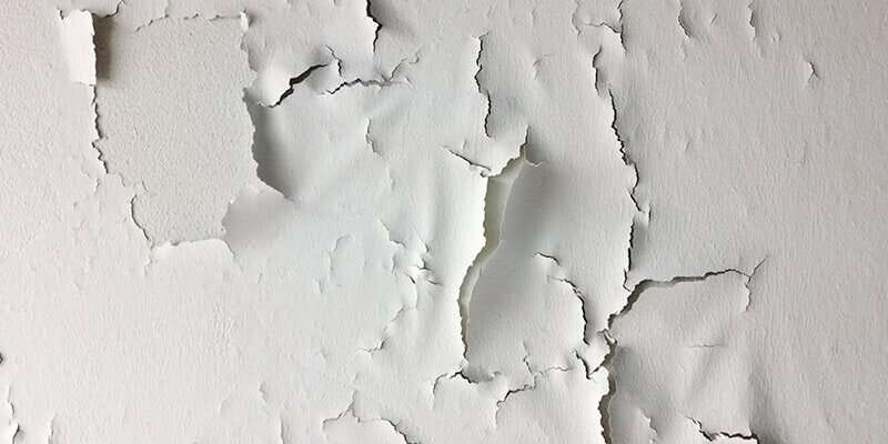 Preventing Moisture Damage: The Ultimate Handbook for Wall Damp ...