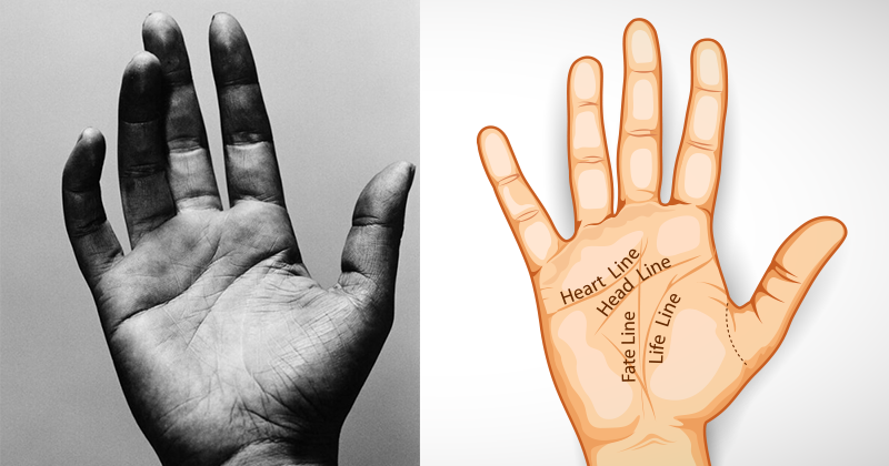 Using Opencv And Python To Find Palm Lines Himanshu Singh Medium