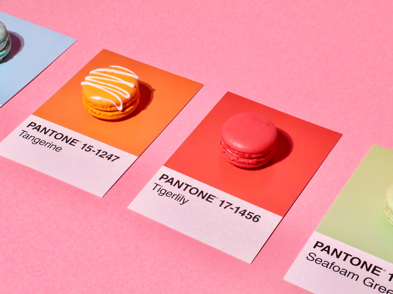 The Dynamic Role of Colour in Graphic Design in 2024 | by Presence ...