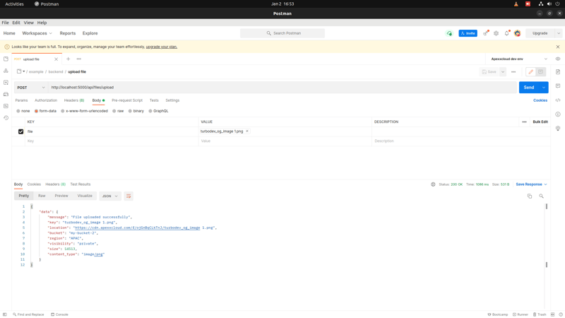 How to implement File uploads in Nodejs: A step by step guide | by Apexx Cloud | Jan, 2025 | Medium