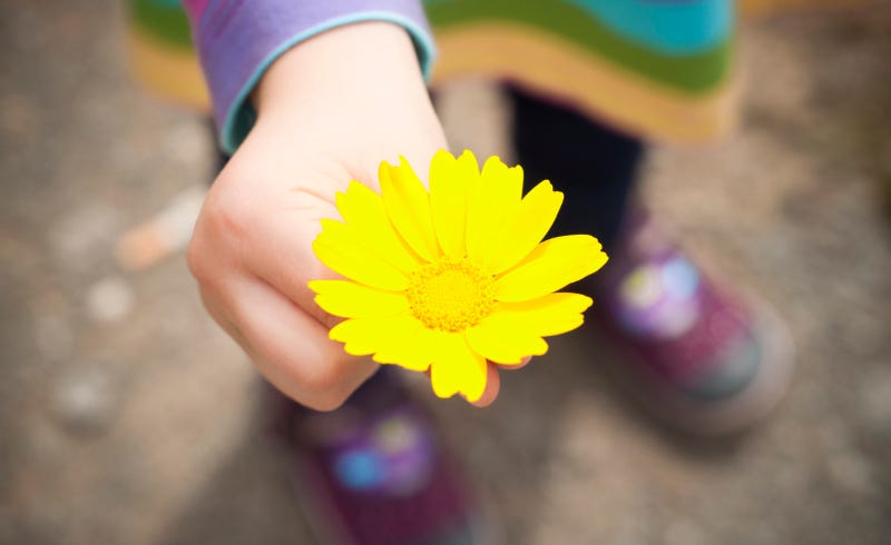 Non-Nuclear Love. Doug Zeigler hates to see families… | by The Good Men ...