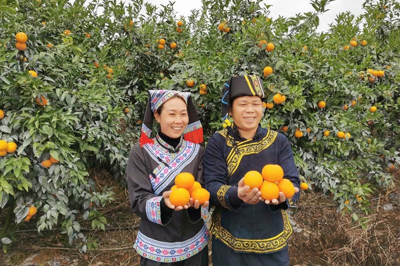 Is China’s Success Driven by a Provider Mindset? While Many Indonesians ...