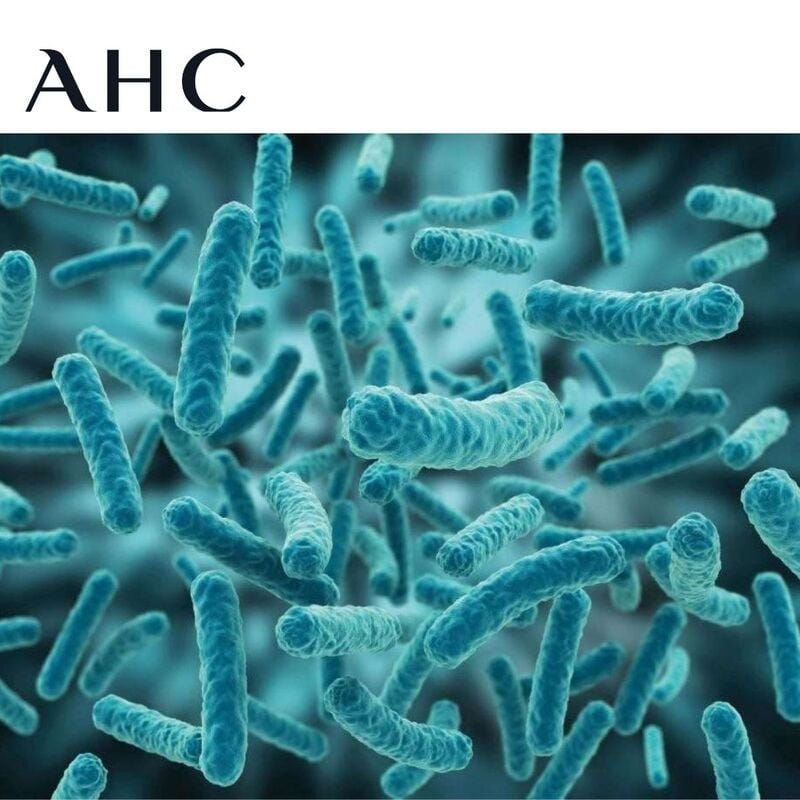 Loi khuan lactobacillus. 1. Lợi khuẩn Lactobacillus là gì? | by Ahcvietnam | Jan, 2024 | Medium
