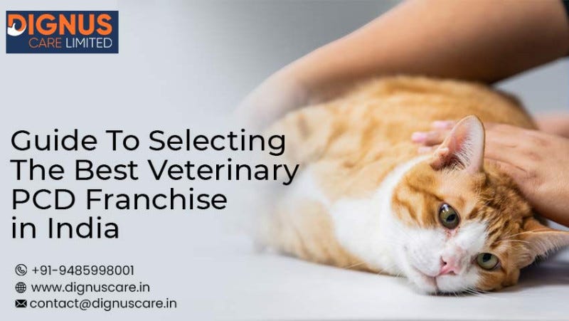Guide To Selecting The Best Veterinary PCD Franchise in India - Dignus Care - Medium