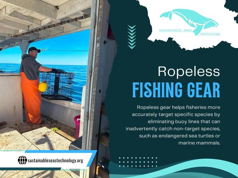 Ropeless Fishing Gear. Breaking Free: How Ropeless Fishing… | by ...
