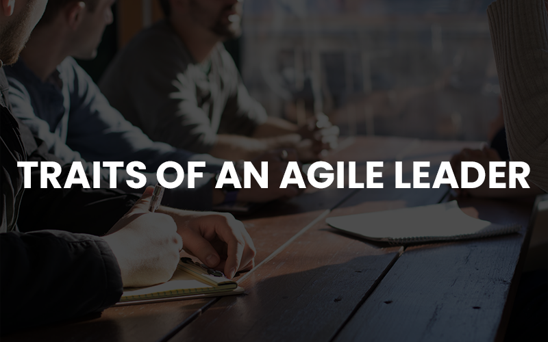 Traits Of An Agile Leader — Universal Agile | by Universal Agile | Medium