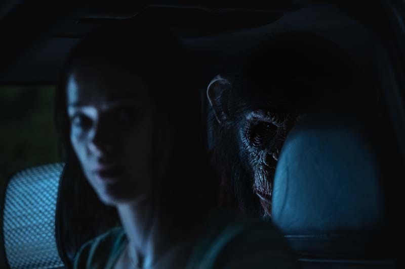 Review: “Primate” ⭐⭐⭐1/2. Happy Friday, friends, and HAPPY NEW… | by ...