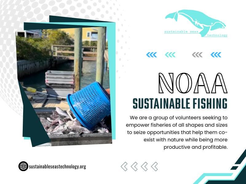 Noaa Sustainable Fishing. Navigating The Future: A Commitment To… | by ...