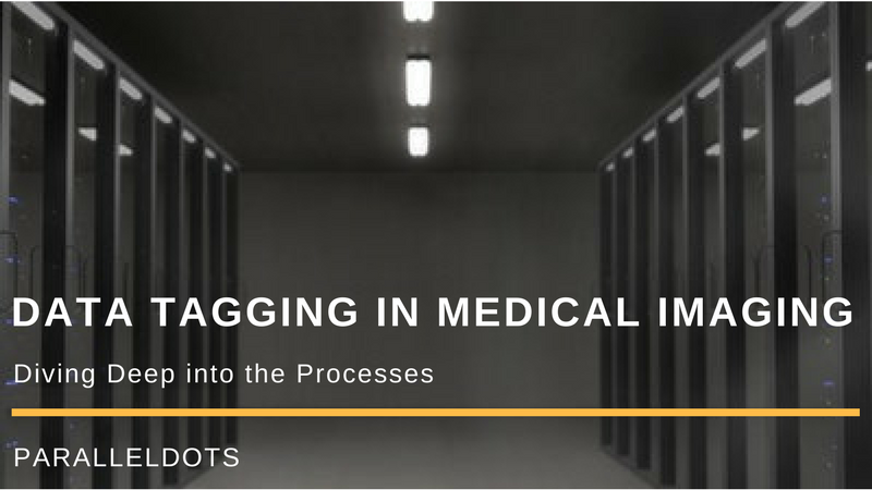 Data Tagging in Medical Imaging — Diving Deep into the Processes | by ...