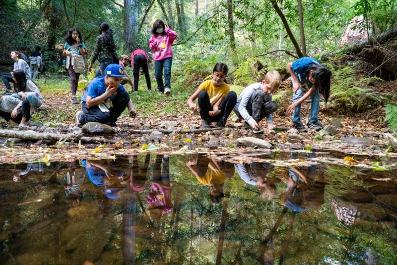 Exploring New Horizons. Education and learning are the… | by The Tax ...