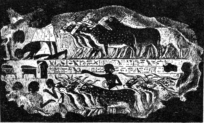 How Brutal Were the Ancient Egyptians? | by Robert C. Solomon | Lessons ...