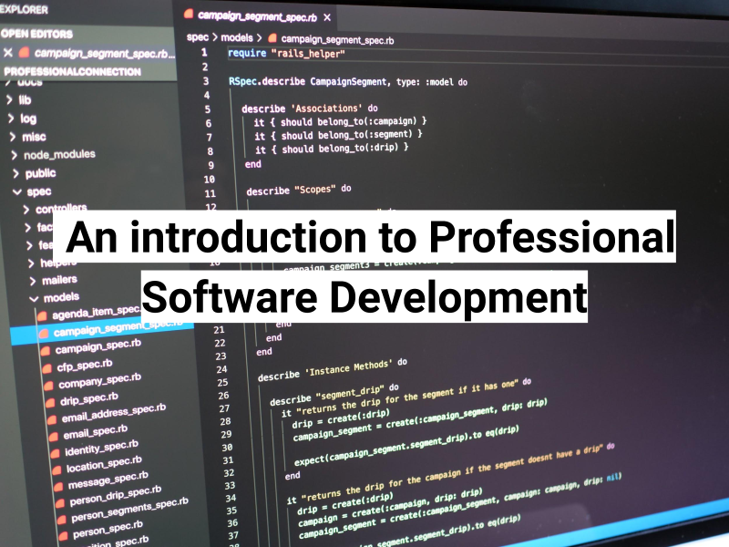 An Introduction to Professional Software Development | by Peter Bell ...
