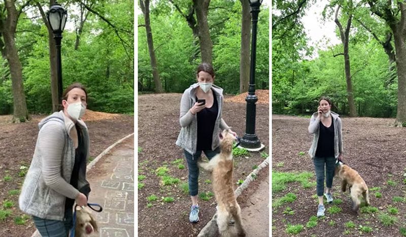 The Reaction to the “Central Park Karen” Incident Was an Abysmal ...