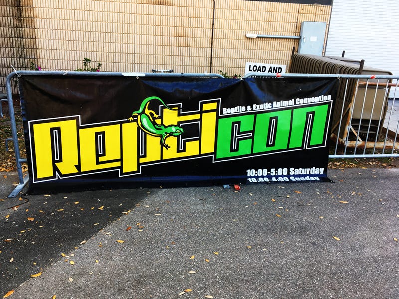 PHOTOS! My First Time at Repticon | by Ashlee Craft | Medium