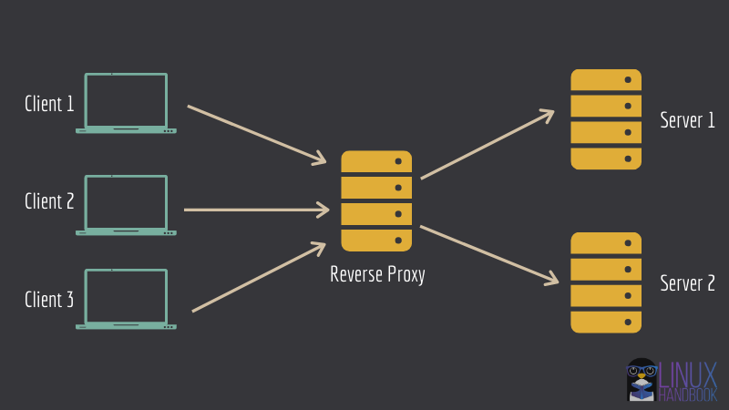 Using Docker To Set Up Nginx Reverse Proxy With Auto Ssl Generation