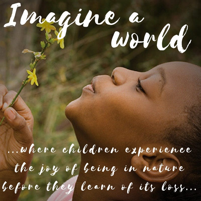 Imagine a Newer World. By RICHARD LOUV | by Joe Brooks | Community ...