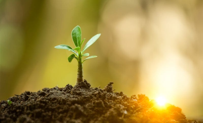 Six Tips for Self-Growth. Explore why self-growth is important… | by ...