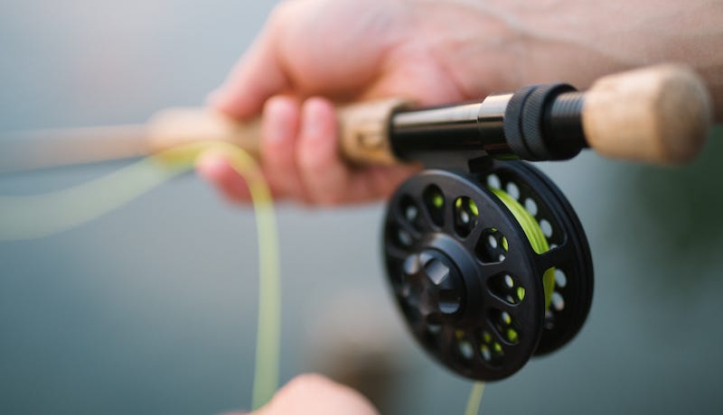 What Type Of Fish Can You Catch With Fly Fishing? | by Robert Ceran ...