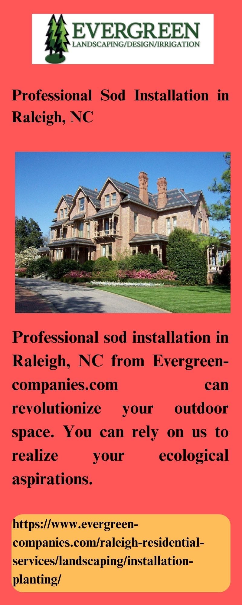 Professional Sod Installation in Raleigh, NC - evergreen - Medium